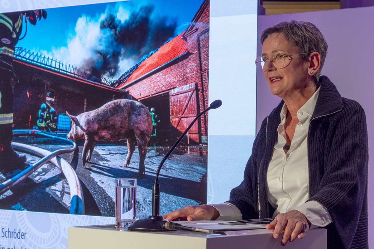 6. Dezember: NRW-Pressefoto 2022 im Landtag ausgezeichnet - News ...